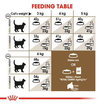 Royal Canin Health Ageing 12+ Cat Food - PetPlaza